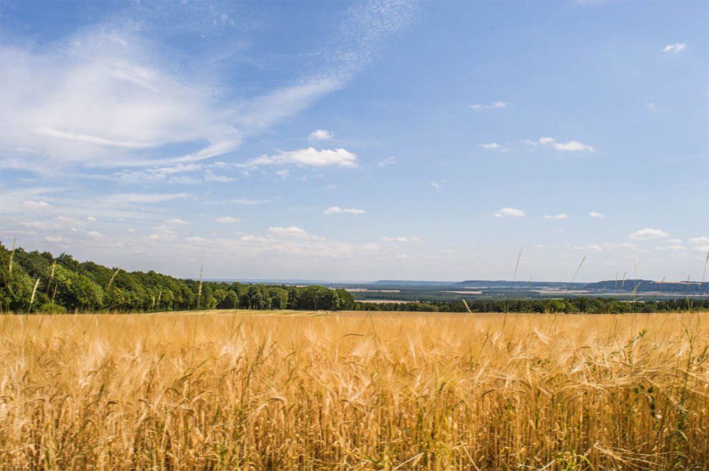 Weekend en Meuse - Le Petit Explorateur