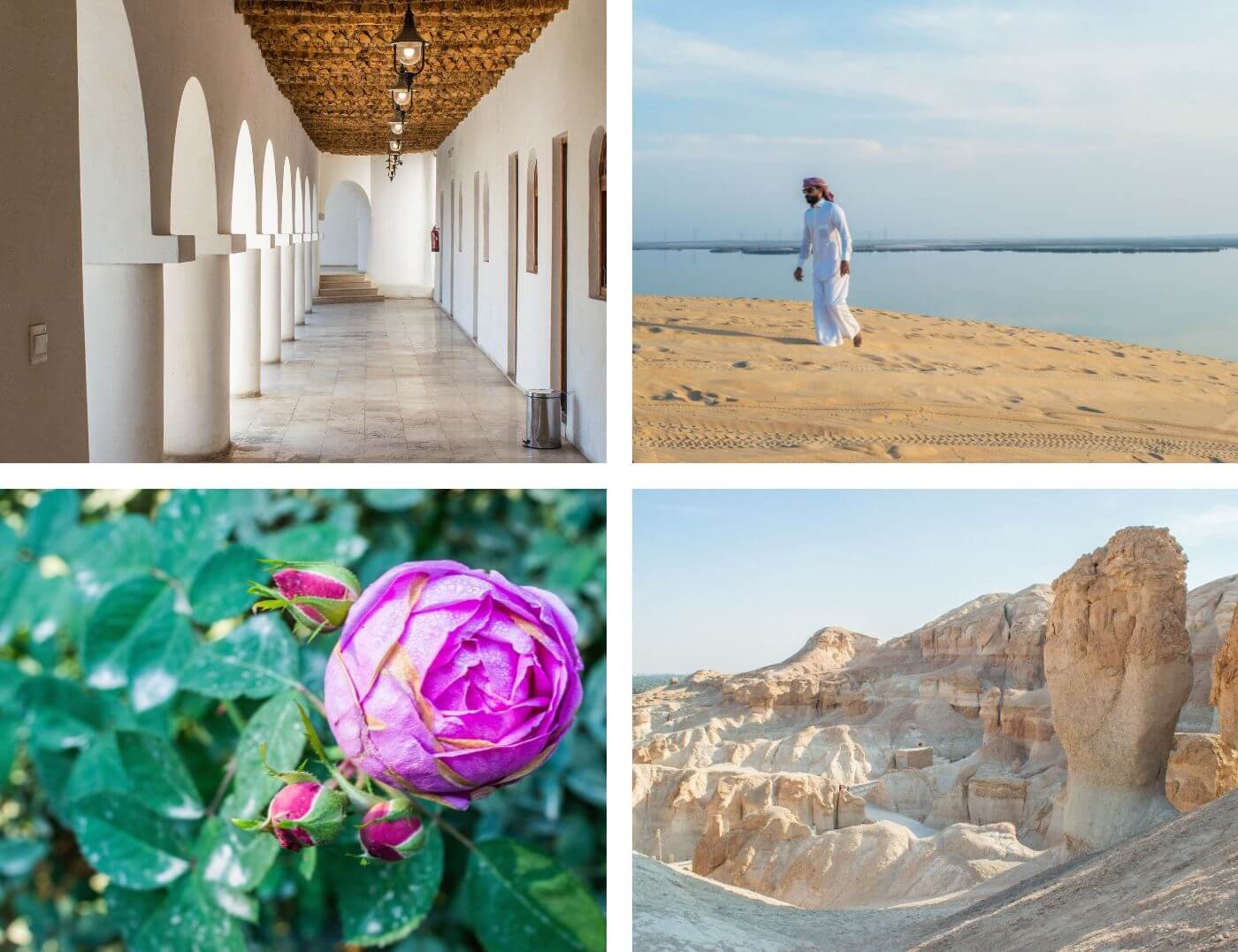 L'Oasis de Al Ahsa : trésor caché d'Arabie - Le Petit Explorateur