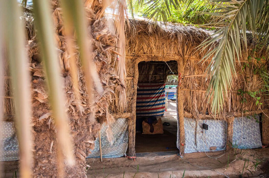 Les Oasis de l'Adrar : trek en Mauritanie, entre désert et palmeraies ...